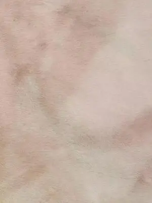 Herno Faux-fur Scarf