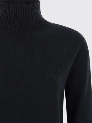 Max Mara Turtleneck Sweater