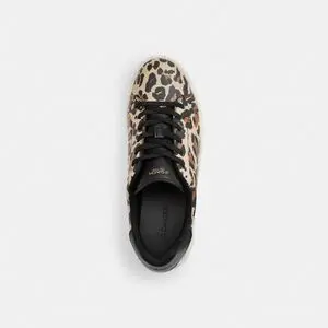 COACH High Line Leopard Print Sneakers