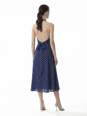 P.a.r.o.s.h Polka Dot Maxi Dress