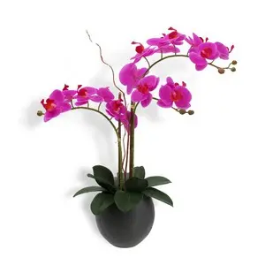CG HUNTER Artificial Double Stem Orchid - Pink
