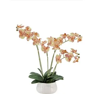 CG HUNTER Artificial 4-stem Phalaenopsis Orchid - Orange