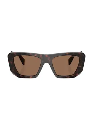 Prada Square Sunglasses - Root Tortoise