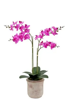 CG HUNTER Artificial 2-stem Phalaenopsis Pink Orchid - White