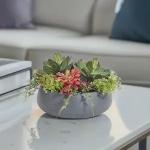 CG HUNTER Round Artificial Succulent Arrangement