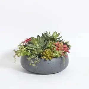 CG HUNTER Round Artificial Succulent Arrangement
