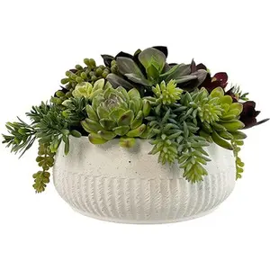 CG HUNTER 12" Succulent Arrangement - White