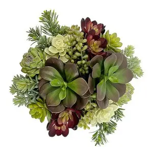CG HUNTER 12" Succulent Arrangement
