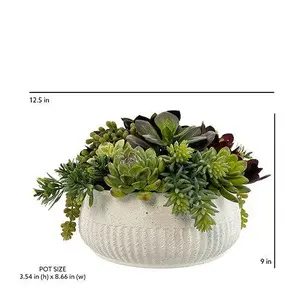 CG HUNTER 12" Succulent Arrangement