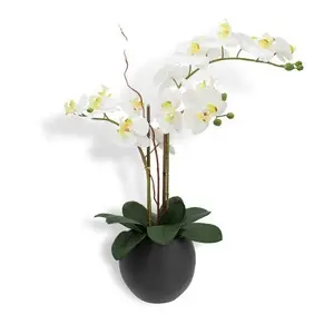 CG HUNTER Artificial White Double Stem Orchid - White And Grey