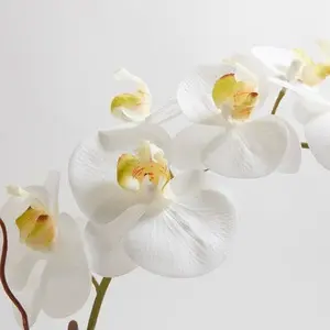 CG HUNTER Artificial White Double Stem Orchid