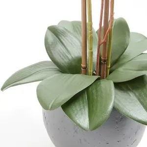 CG HUNTER Artificial White Double Stem Orchid