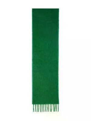 Marni Brushed-fringed Scarf - Green