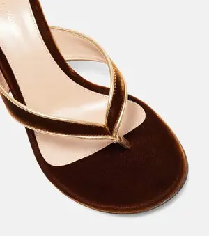 GIANVITO ROSSI Calypso 70 Velvet Thong Sandals - Brown
