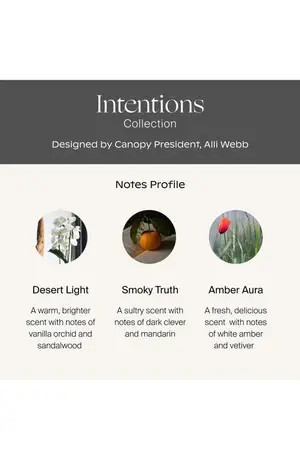 CANOPY Intentions Aroma Essential Oils Kit