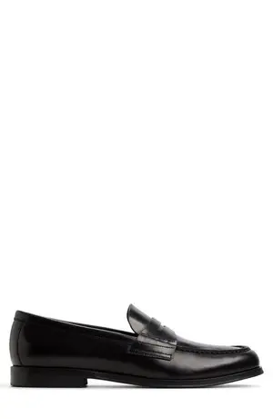 Aldo Keifer Penny Loafer