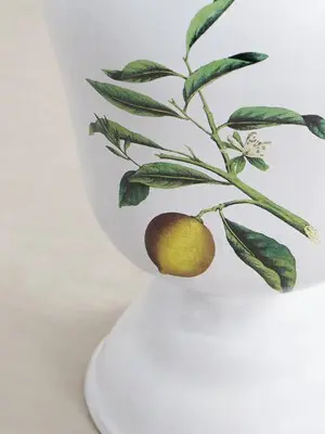 ASTIER DE VILLATTE John Derian Ceramic Vase