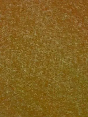 Botto Giuseppe Cashmere Scarf - Yellow