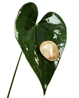 REISS Pernilla Sculptural Stud Earrings - Gold