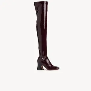 Chloe Glossed Boots For Women