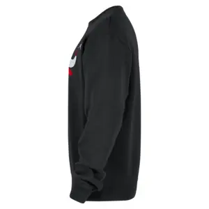 JORDAN Chicago Bulls Statement Essentials Nba Fleece Crew-neck Sweatshirt