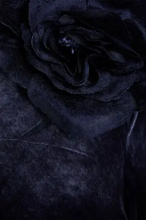 Zimmermann Floral-appliquéd Velvet Maxi Dress