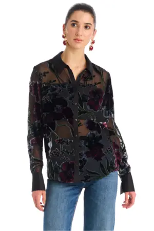 Allison Sade Velvet Chiffon Button-down Shirt