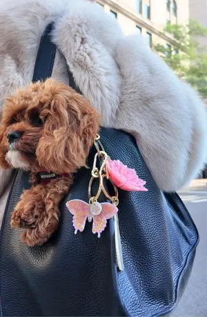 SOLAR ECLIPSE Hand-painted Swallowtail Key Chain Bag Charm