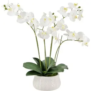 CG HUNTER Artificial 4-stem Phalaenopsis Orchid - White