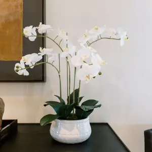 CG HUNTER Artificial 4-stem Phalaenopsis Orchid
