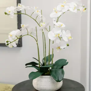 CG HUNTER Artificial 4-stem Phalaenopsis Orchid