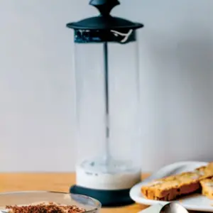 NINJA Cffroth Easy Frother