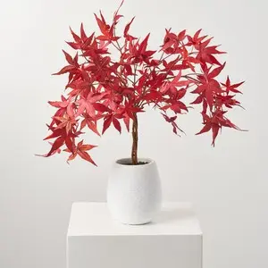 DARBY CREEK TRADING Faux Japanese Maple Bonsai Style Topiary Potted Tree - Red