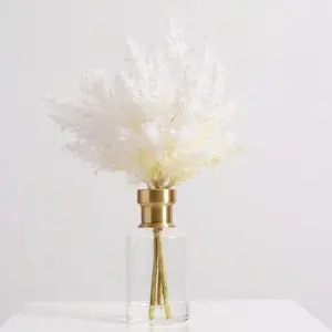 DARBY CREEK TRADING Bleached Pampas Grass Arrangement In Glass Bud Vase - White Set - Short & Tall
