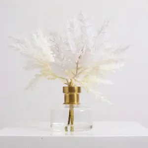 DARBY CREEK TRADING Bleached Pampas Grass Arrangement In Glass Bud Vase - White Short