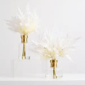 DARBY CREEK TRADING Bleached Pampas Grass Arrangement In Glass Bud Vase - White Tall