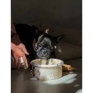 ST.PIA Marbowl Marble Dog And Cat Bowl 19cm