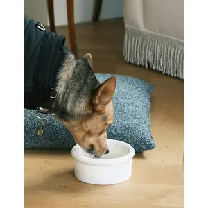 ST.PIA Marbowl Marble Dog And Cat Bowl 19cm