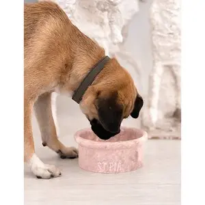 ST.PIA Marbowl Marble Dog And Cat Bowl 19cm
