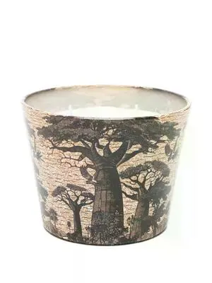 BAOBAB COLLECTION Mankono Candle