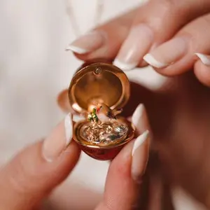 BILL SKINNER STUDIO Robin Locket