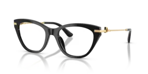 Dolce & Gabbana Full Rim Cat Eye Eyeglasses - Noir