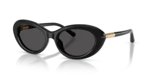 Dolce & Gabbana Full Rim Sunglasses