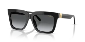 Versace VE4498 Sunglasses Noir