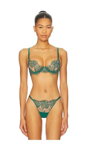 Bluebella Lace Lingerie