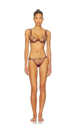 Bluebella Marabel Wired Bra In Red - Cherry Lacquer & Sheer