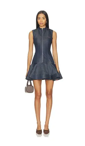 Alexis Taylin Dress