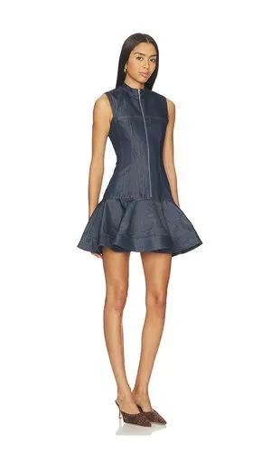 Alexis Taylin Dress