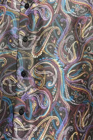 Etro Silk Shirt - Multicolour