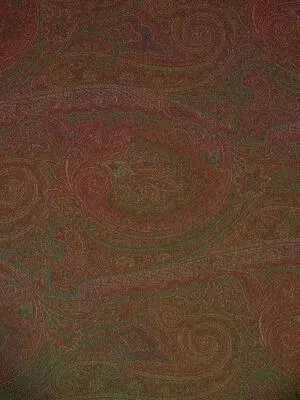 Etro Arnica Tray